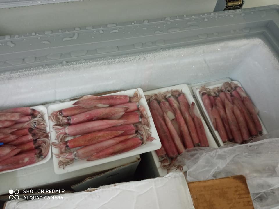 Mực trứng A 9-12 CM VỈ 500G